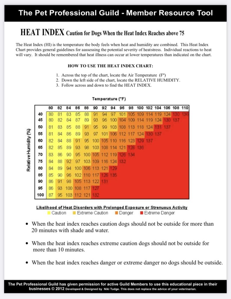 Heat Index & Dogs - Ponderosa Springers